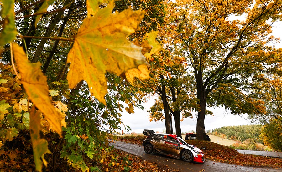 WRC Central European Rally 2024 | Stage Maps, Entry List, Route, All info